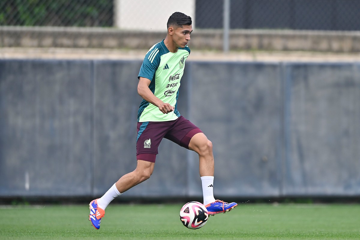 Fidel Ambriz destaca los cambios en la selección mexicana - El Diario NY