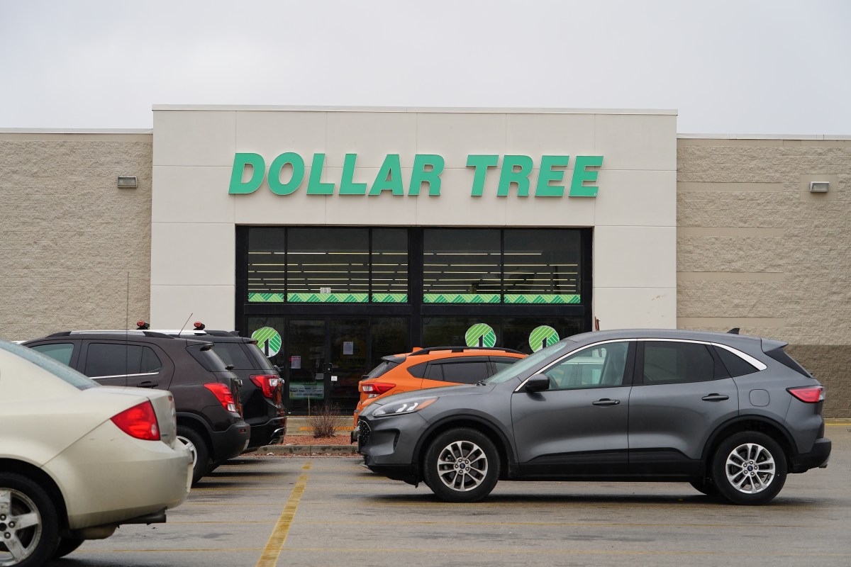 La manera más inteligente de gastar $20 en Dollar Tree - El Diario NY