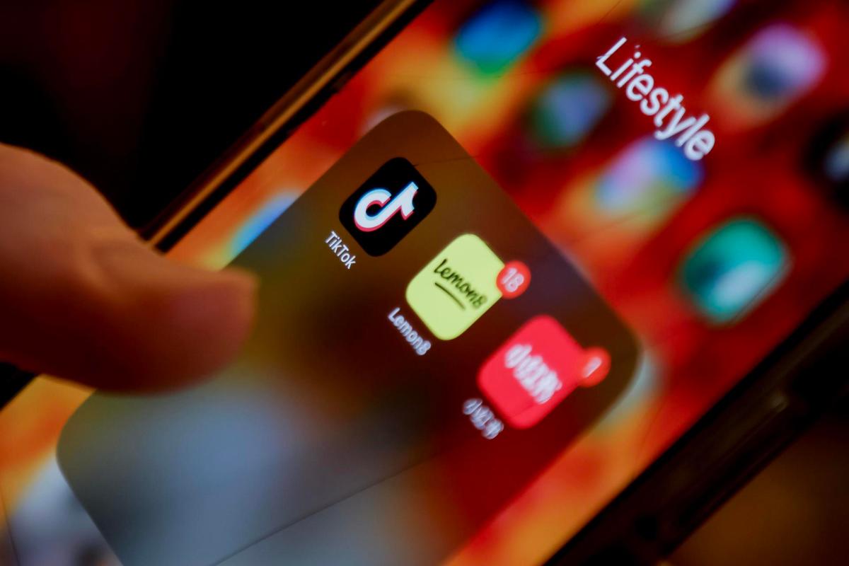 Tiktok ¿cuánto Ganan Los Influencer En La Red Social El Diario Ny