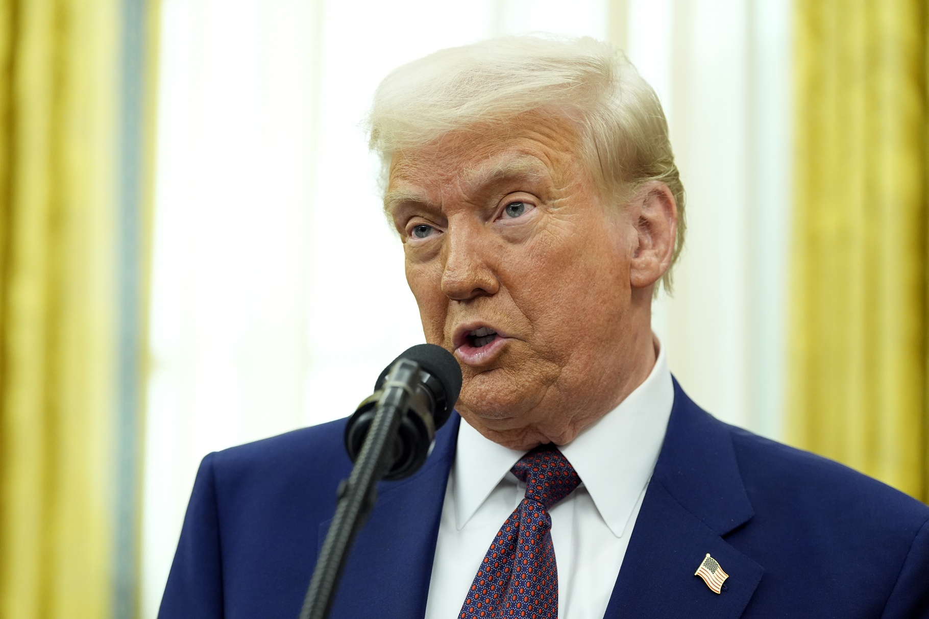 ¿Cómo reaccionó Donald Trump a la polémica de Javier Milei por la ...