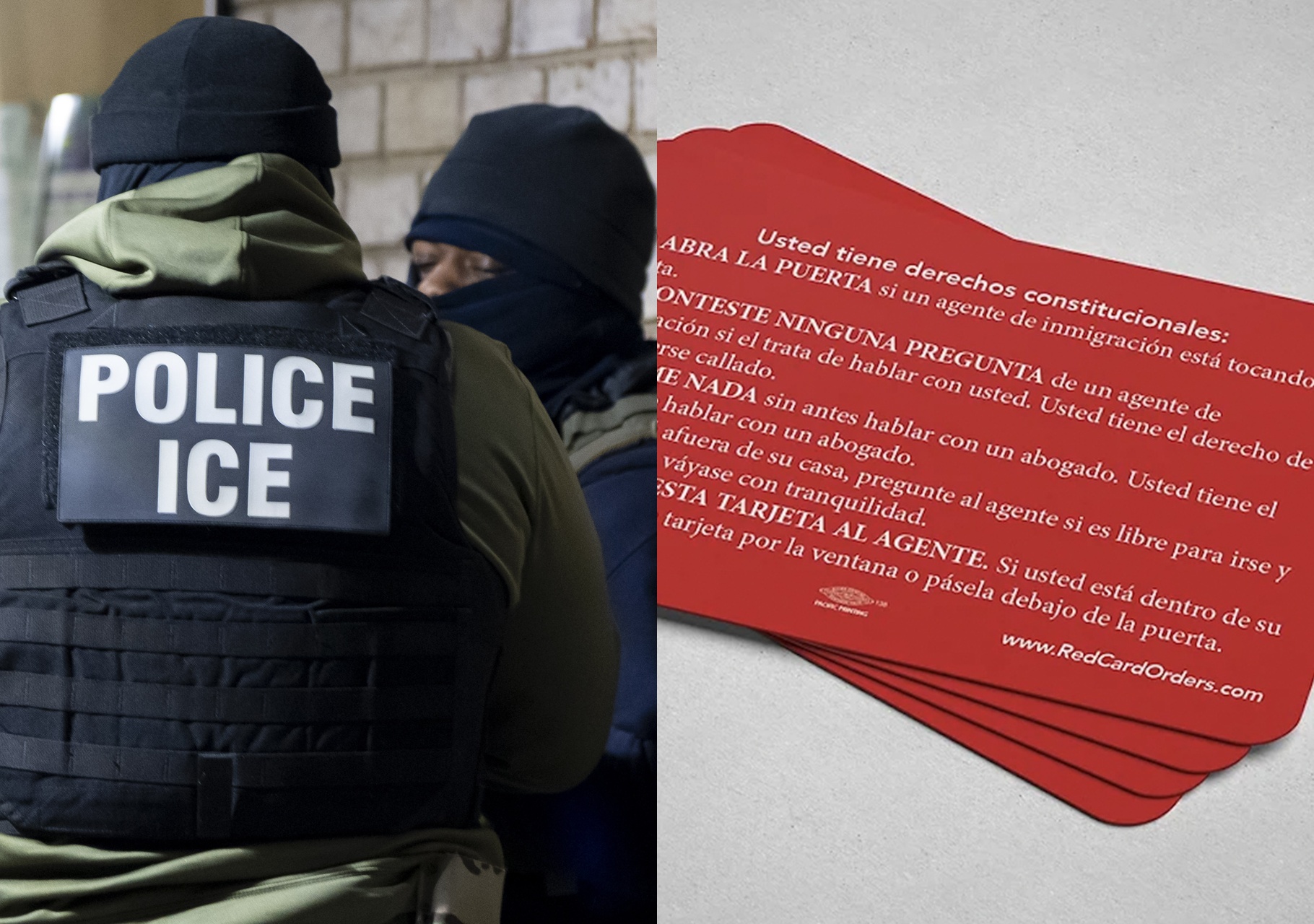 Atención migrante: esta tarjeta roja te podría "salvar" en redadas de ...