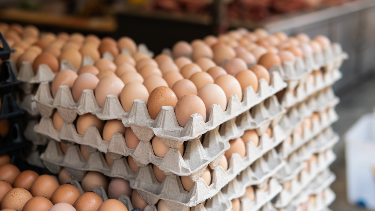 Importación de alimentos: Consecuencias de traer huevos y pollo crudo ...