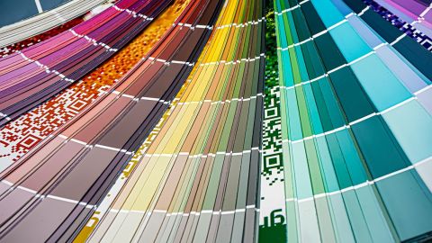 Nuevo color olo, así lo descubrieron los científicos - El Diario NY