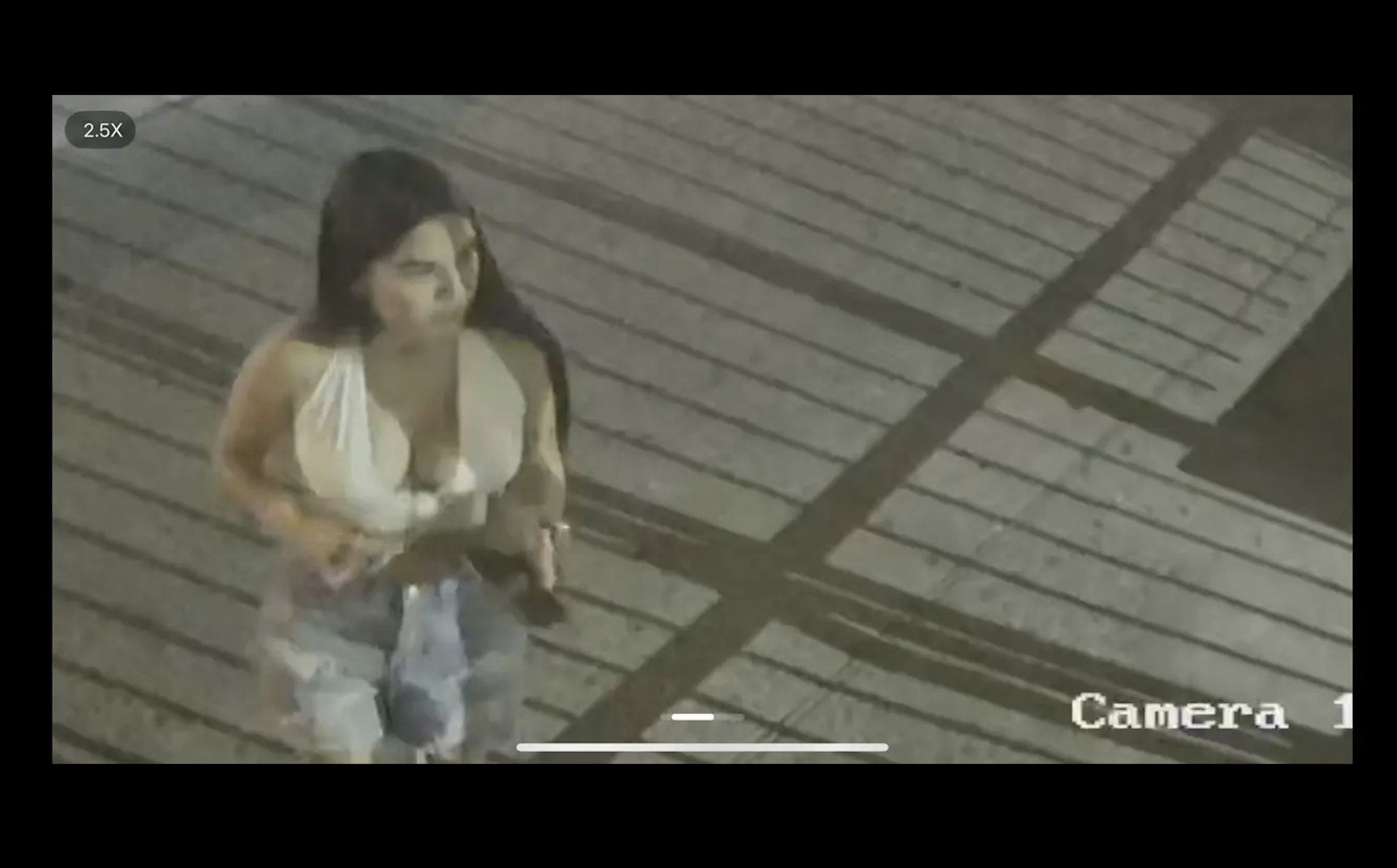 Acusan a hispano de asesinato por atropellar y aplastar a una adolescente en Queens, no sabía ...