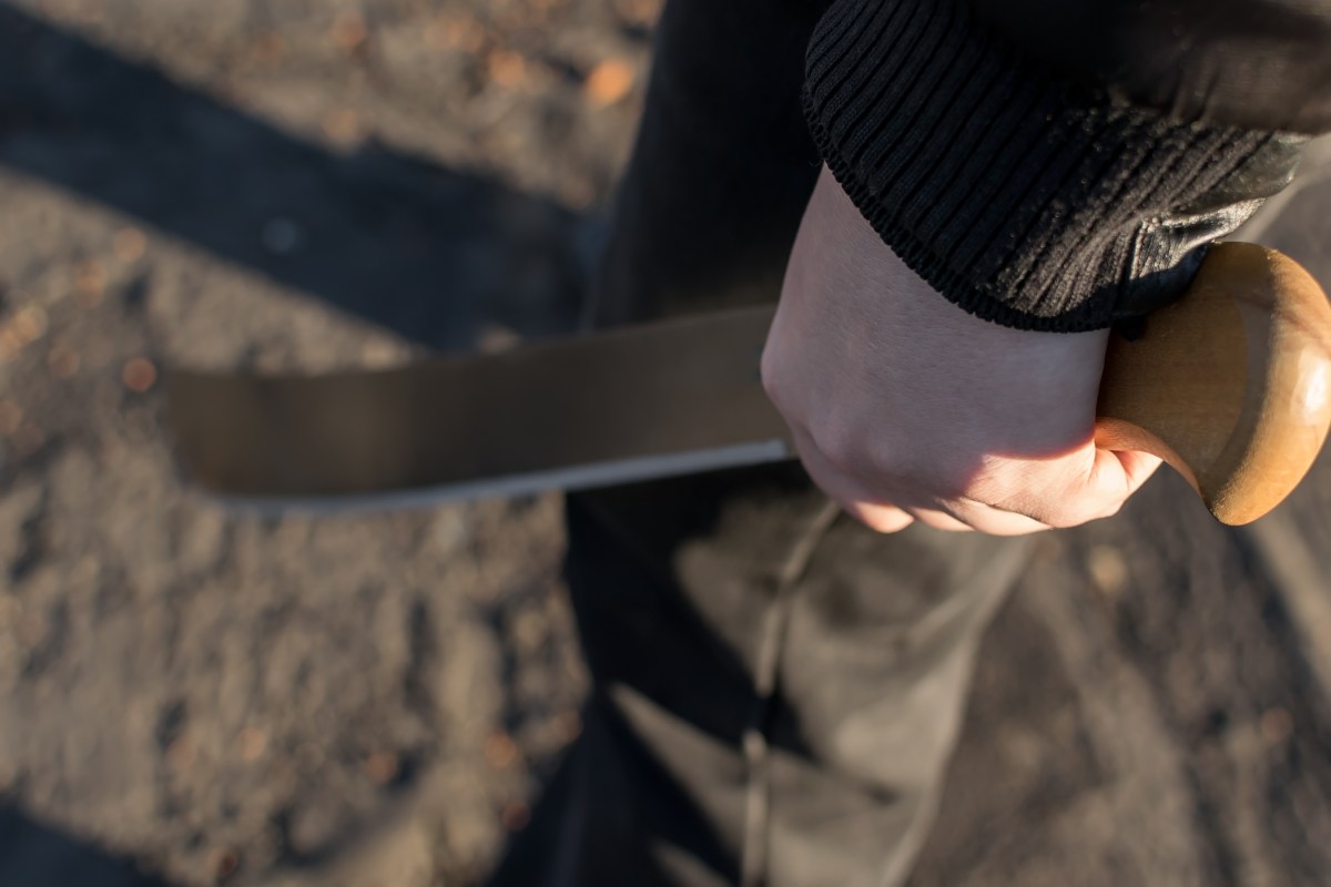 ¿Qué hay detrás del avistamiento de adolescentes con machetes en las ...