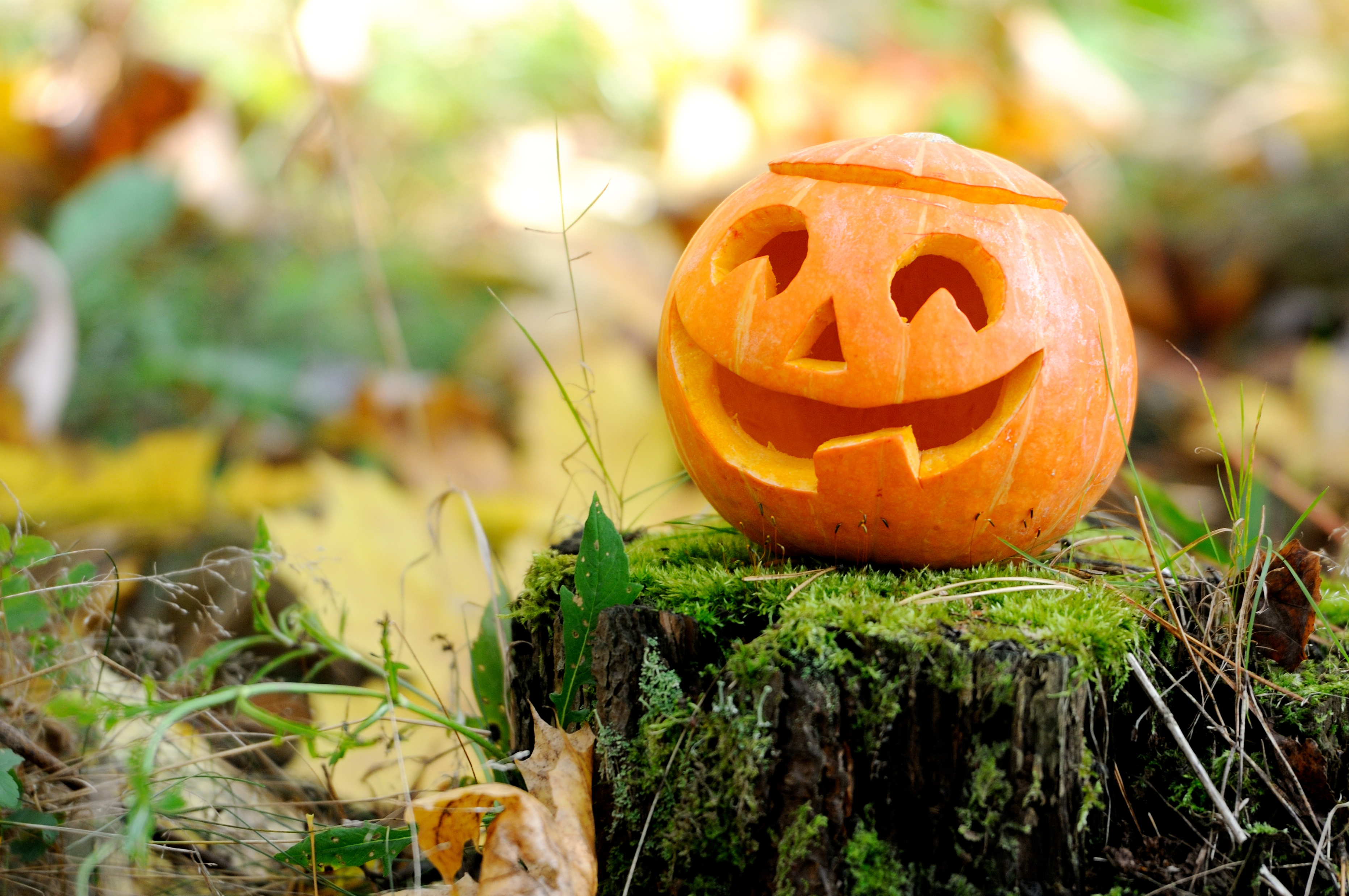 5 maneras creativas de aprovechar las calabazas tras la noche de ...