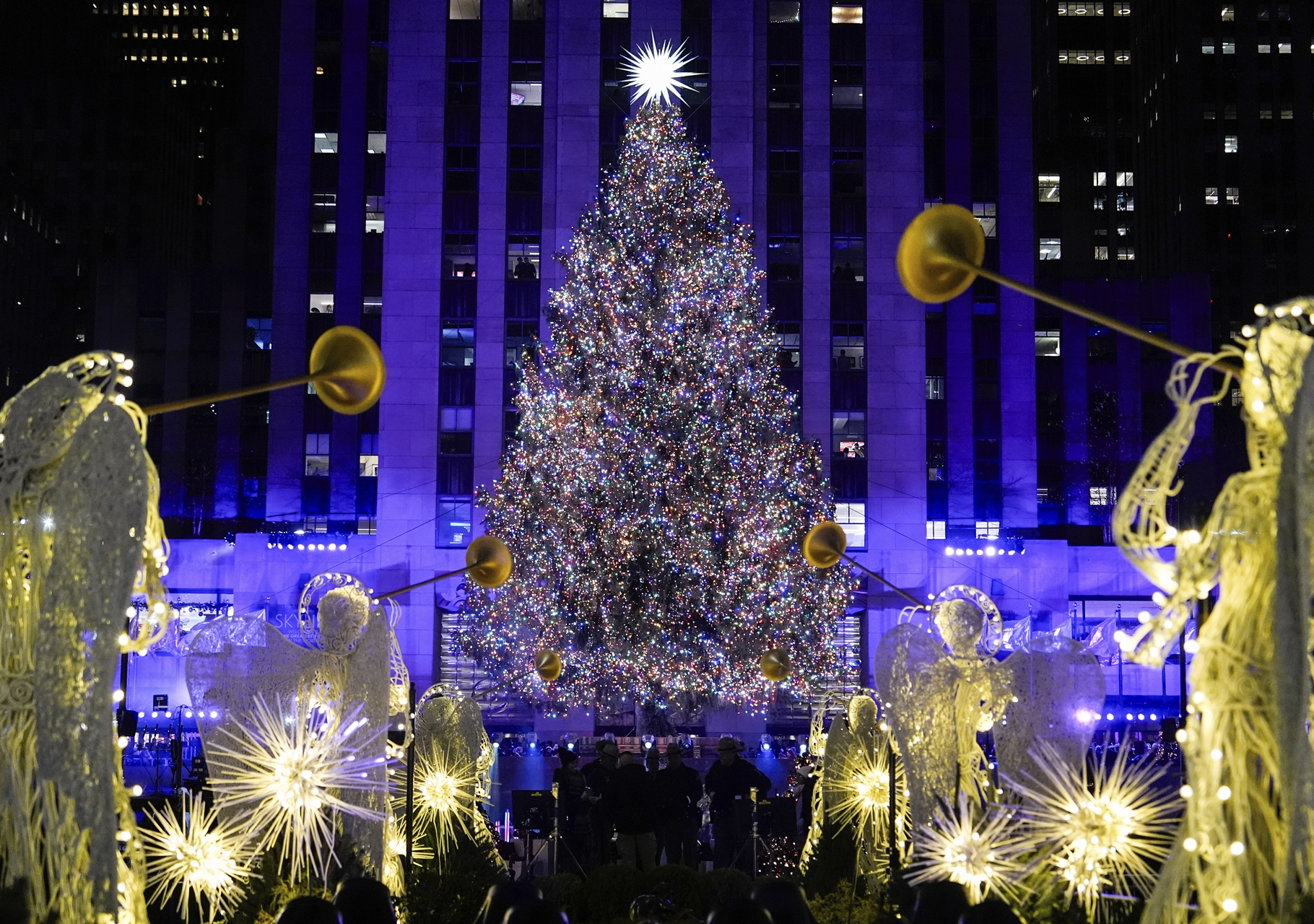 Así es el árbol que iluminará el Rockefeller Center en Navidad: tendrá ...
