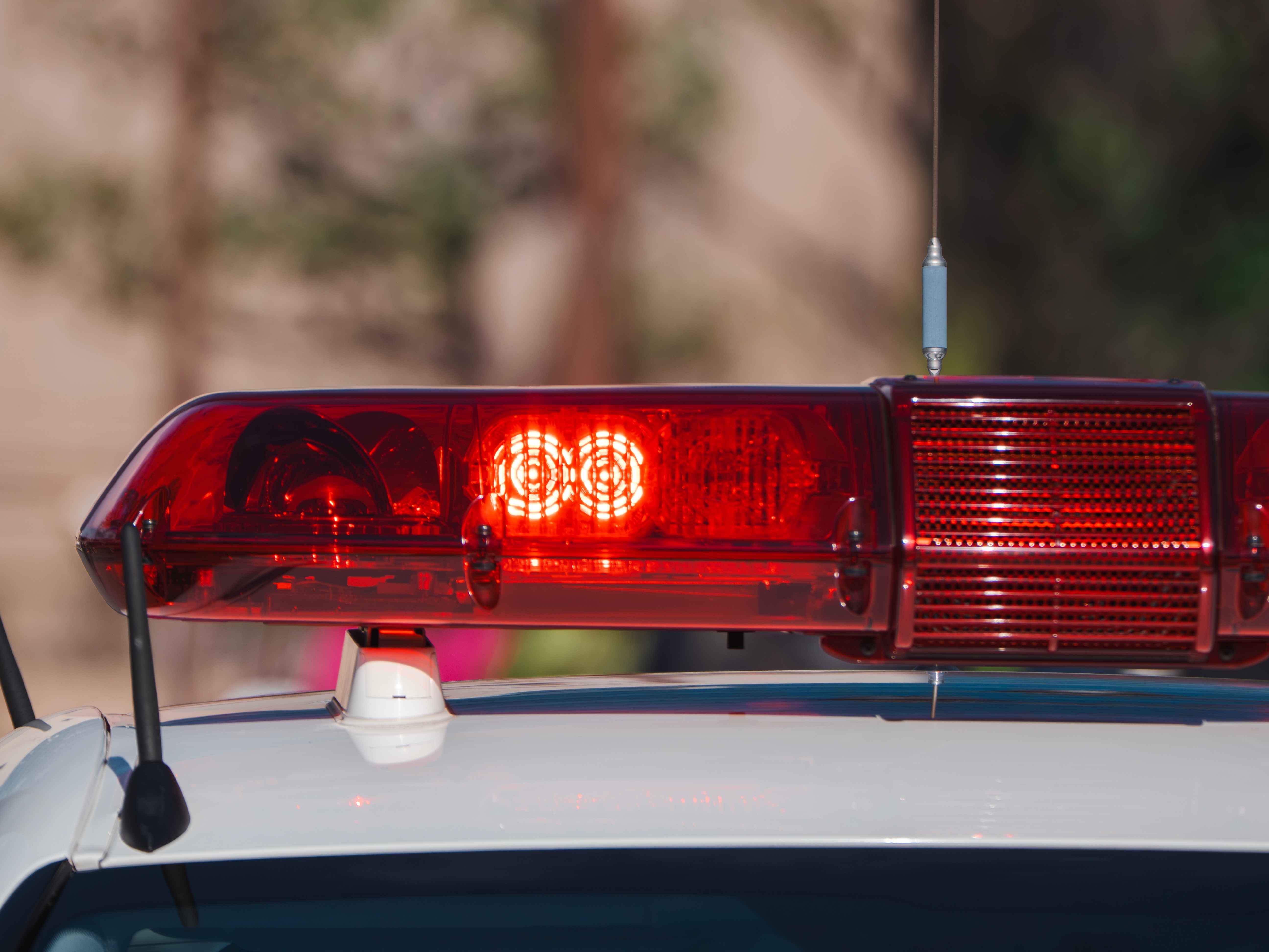 Ernest Heinz, actor que apareció en 'Los Soprano', fue acusado de 31 ...