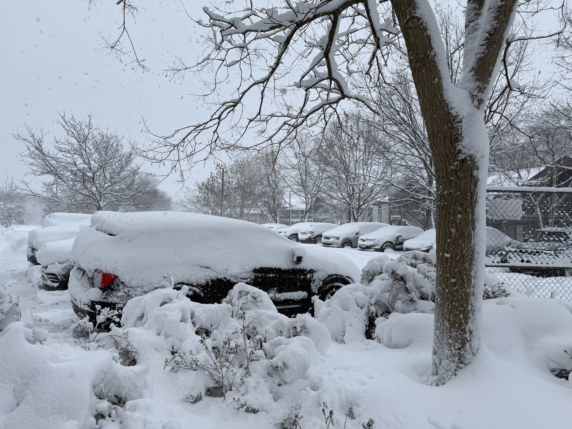Tormenta de nieve impacta Nueva York, Nueva Jersey y otros estados ...
