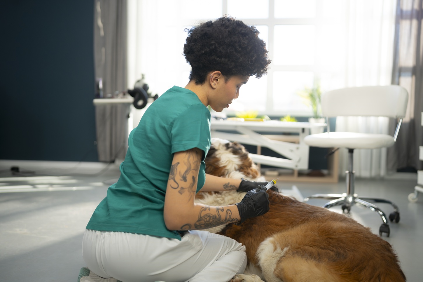 Tener mascota en EE.UU. ya cuesta hasta $3,221 al año: cómo reduce el ...